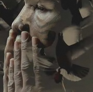 TCA 2011: Mike Tyson races pigeons for ANIMAL PLANET. Yes, Pigeon ...