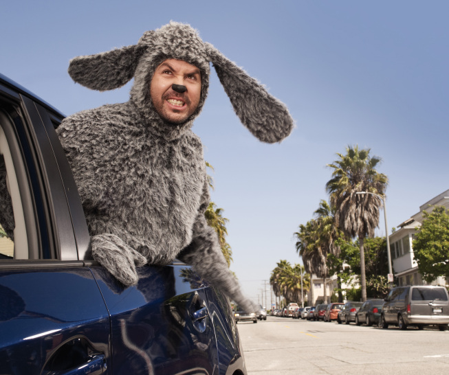 TV Review: WILFRED – Season One premiere – “Happiness” - Assignment X