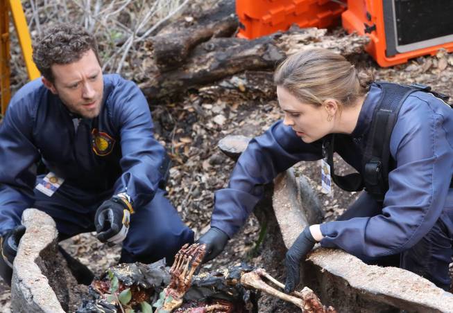 Exclusive Interview with BONES creator Hart Hanson - Assignment X