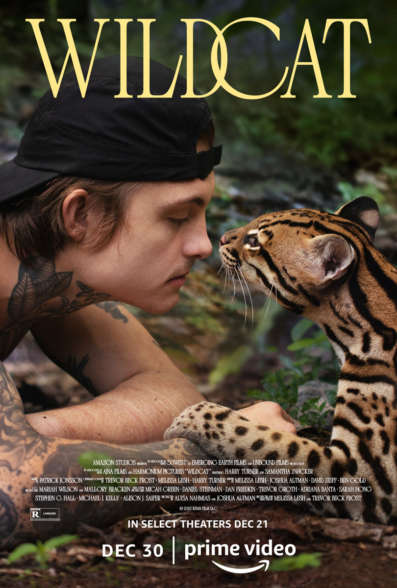 WILDCAT: Ecologist Samantha Zwicker on new Ocelot documentary – Exclusive Interview - Assignment X