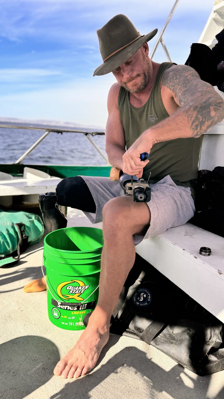 SHARK WEEK: Shark expert Paul de Gelder on his five different specials ...