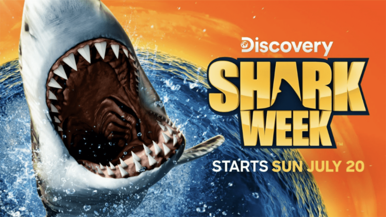 SHARK WEEK: Shark expert and journalist Kinga Philipps on ATTACK OF THE ...