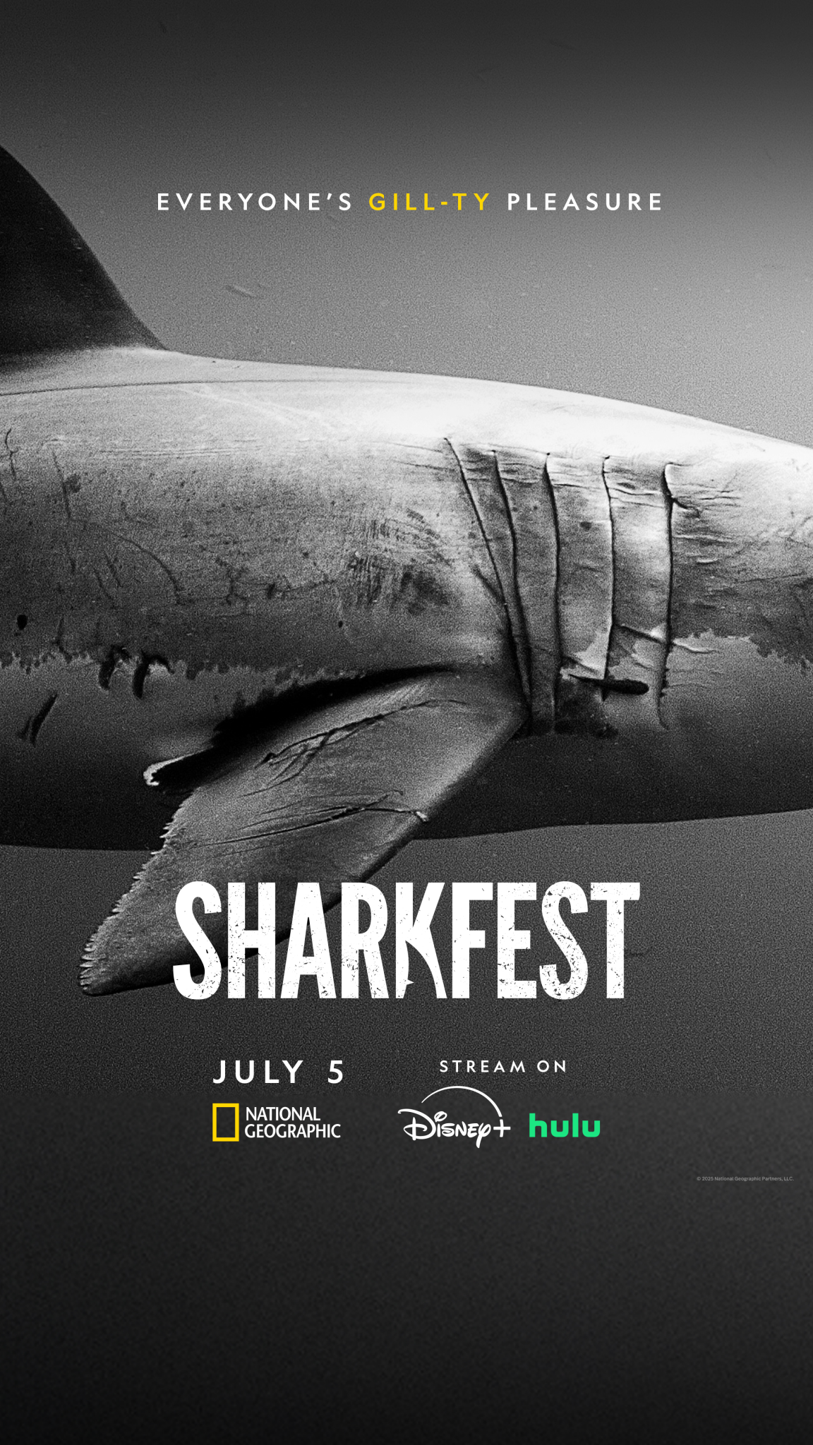 SHARKFEST: Cinematographer Dan Beecham and shark expert Candace Fields on new shark docs ...